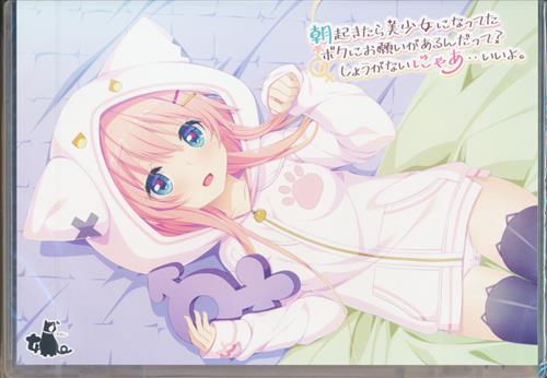 朝起きたら美少女になってたボクにお願いがあるんだってしょうがないにゃあ・・いいよ。 通常版 アサオキタラビショウジョニナッテタボクニオネガ