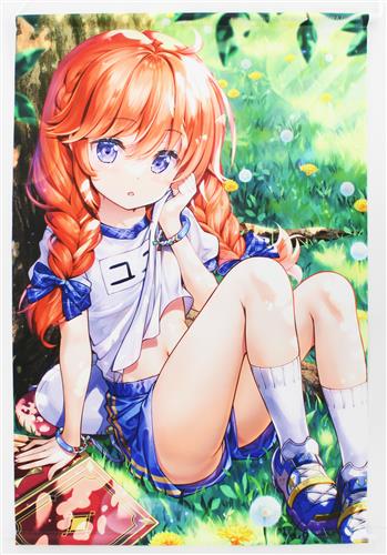 プリンセスコネクト!Re:Dive B2タペストリー ユニ [藤真拓哉][ESSENTIA]プリンセスコネクトリダイブB2タペストリーユニ【買取価格 400円】 | 男性向同人タペストリーなら ...