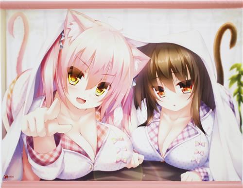 syroh B2タペストリー シアミアの目覚ましシロゥB02タペストリーシアミアノメザマシ【買取価格 200円】 | タペストリーならコムショップ買取