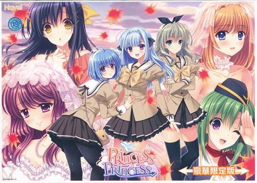 Princess×Princess 豪華限定版【中古の価格 1,980円】 | ゲーム博物館